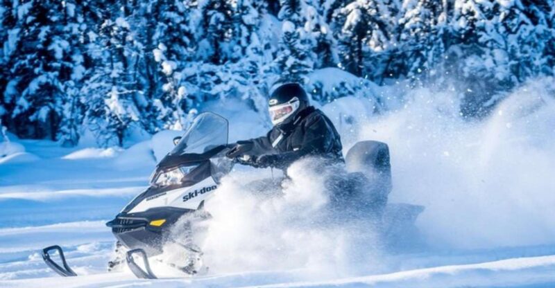 North Pole Alaska: Guided Fairbanks Snowmobile Tour - The Guides: Knowledgeable and Personable
