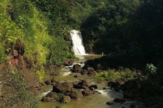 North Shore day,Waterfalls and Turtles Tour - Who Will Love This Tour?