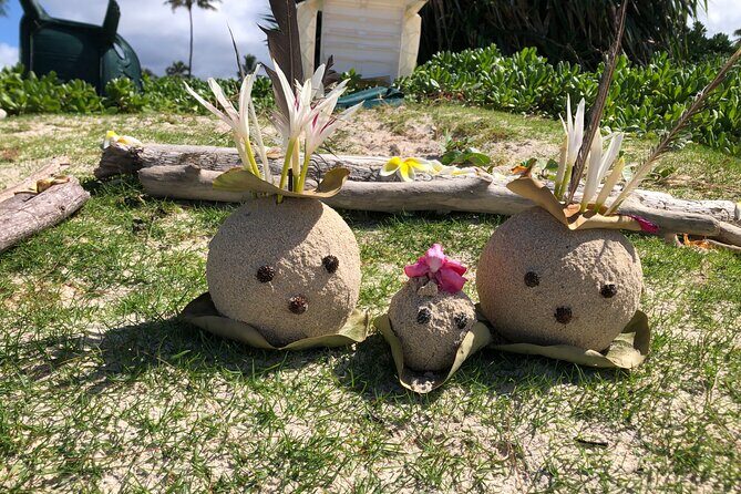North Shore day,Waterfalls and Turtles Tour - Frequently Asked Questions