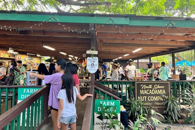 North Shore Dole Pineapple Farm Tour - What Travelers Are Saying