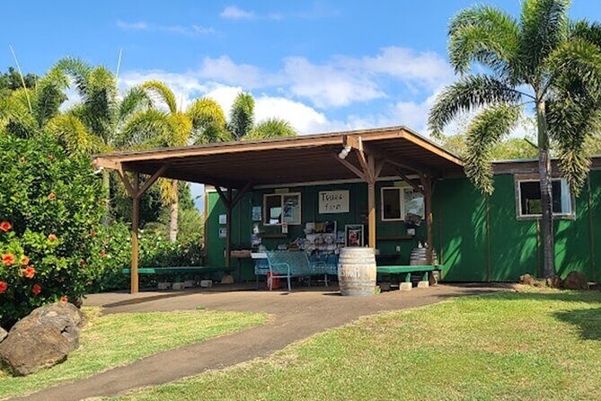 North Shore Farm: Anahulu River, Kayak-Sup, Turtles, Lunch & More - Lunch and Culinary Delights