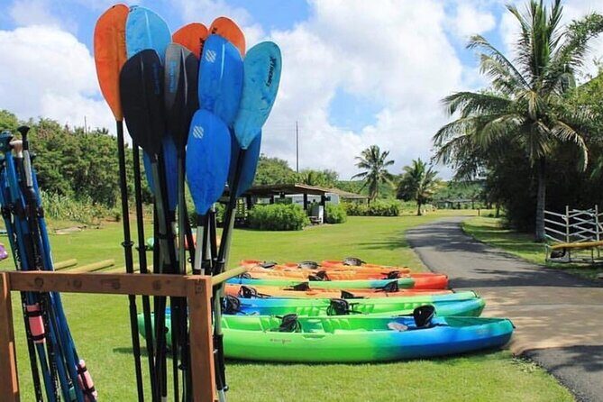 North Shore Farm: Anahulu River, Kayak-Sup, Turtles, Lunch & More - The Total Experience and Group Size