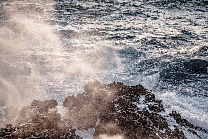 North Shore of Oahu Private Full-Day Tour with Local Guide - What This Tour Means for You