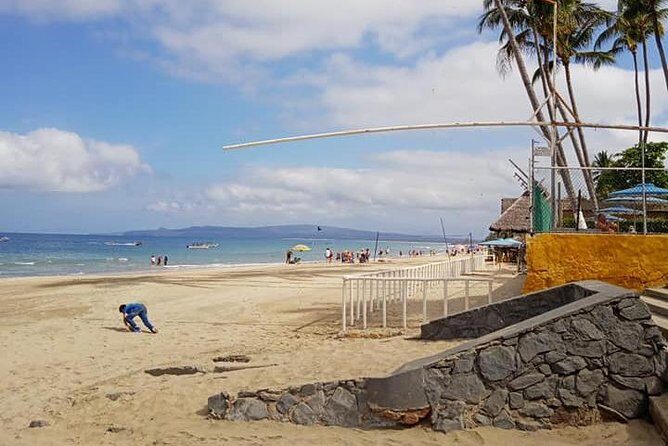 North Shore Tour - What the Tour Looks Like: From Puerto Vallarta to Coastal Villages