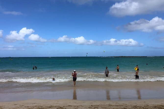 North Shore / Waimea, Falls Day & Swim With Turtles - Swimming With Sea Turtles and Waterfalls