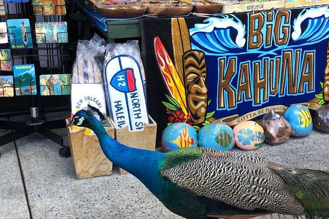 North Shore / Waimea, Falls Day & Swim With Turtles - Personalized Experience With Knowledgeable Guides