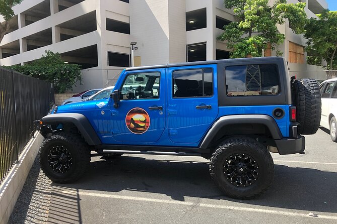 North Shore / Waimea, Falls Day & Swim With Turtles - Customer Feedback and Reviews