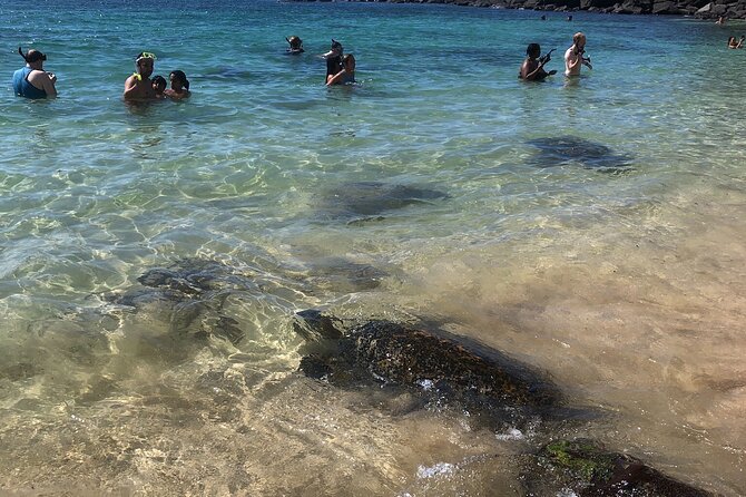 North Shore / Waimea, Falls Day & Swim With Turtles - Recommendations for Your Adventure