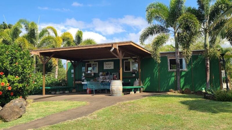 North Shore's best day! River, Turtles, Farm with Lunch - What Reviewers Say