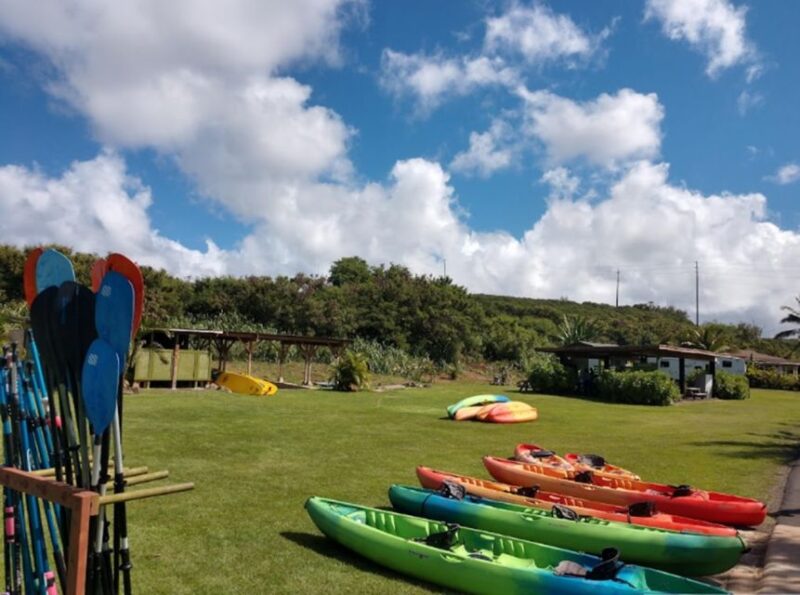 North Shore's best day! River, Turtles, Farm with Lunch - In The Sum Up