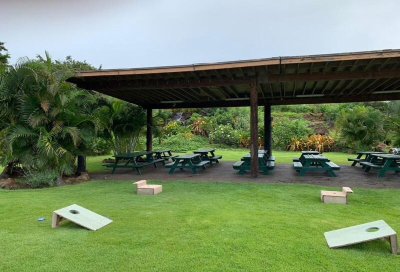 North Shore's best day! River, Turtles, Farm with Lunch - FAQ