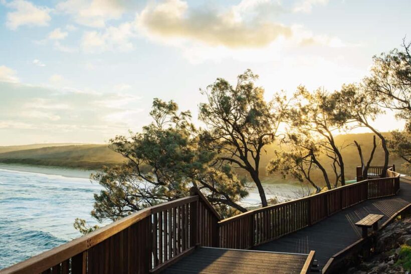 North Stradbroke Island Cultural Private Tour from Brisbane - A Closer Look at What You Can Expect
