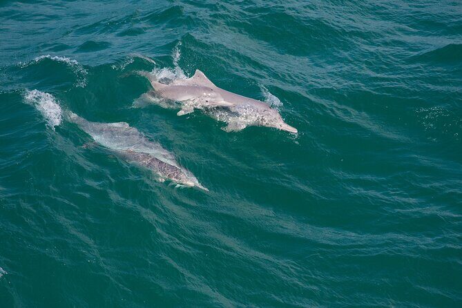 North Stradbroke Island Private Tour with Pickup - FAQs