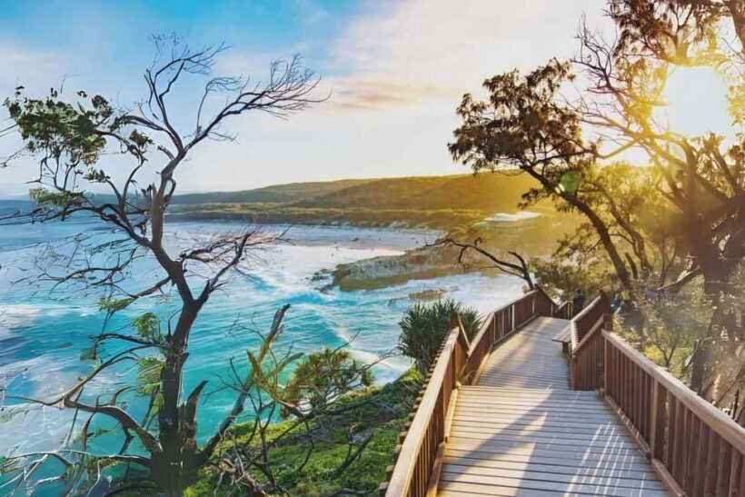 North Stradbroke Island: Whales, Wildlife & Beaches Day Trip - Key Points