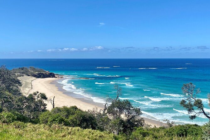 North Stradbroke Island WILDLIFE Adventure Tour from Brisbane - A Detailed Look at the Tour Experience