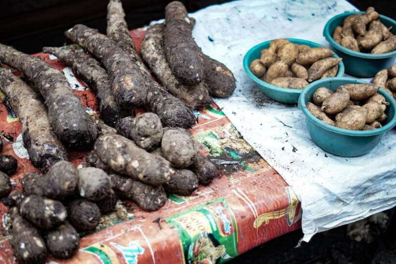 North Sulawesi, Tomohon: Minahasa Culture & Nature Tour - Who Should Consider This Tour