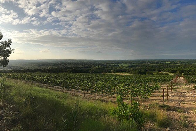 North Texas Wineries & Vineyards Tour & Tastings-6 person minimum - Exploring the North Texas Wineries & Vineyards Tour & Tastings