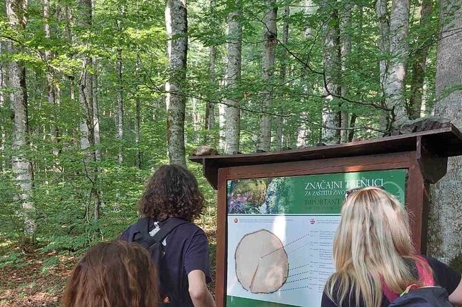 NORTH TOUR Np Biograd Gora-Lake-Moraca Canyon & Monastery-Kolasin - An In-Depth Look at the North Tour Experience