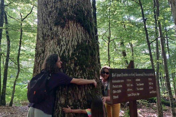 NORTH TOUR Np Biograd Gora-Lake-Moraca Canyon & Monastery-Kolasin - Who Will Love This Tour?