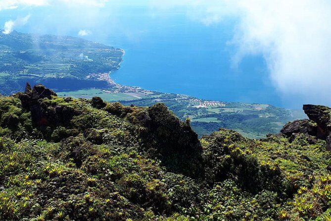 North Tour: rainforest, rum distillery, black sand beach etc - Exploring the Fonds Saint Denis Rainforest