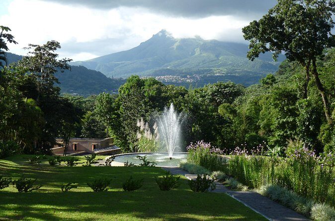 North Tour: rainforest, rum distillery, black sand beach etc - Tasting Rum at Domaine Depaz
