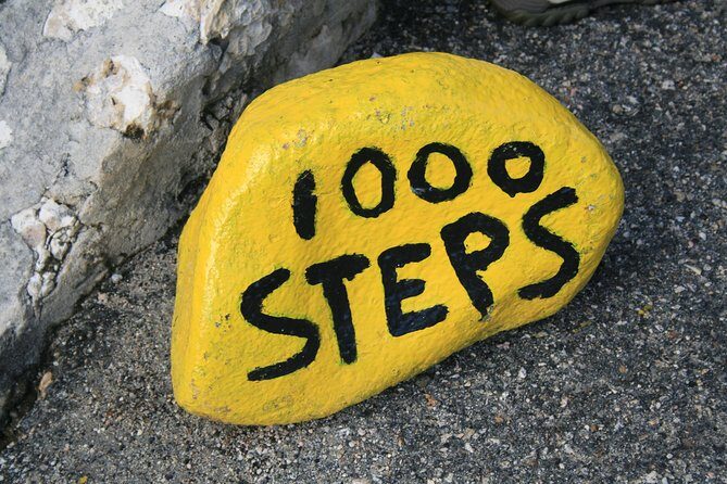 North Tour with Local Guide - Authentic Experiences and Honest Value