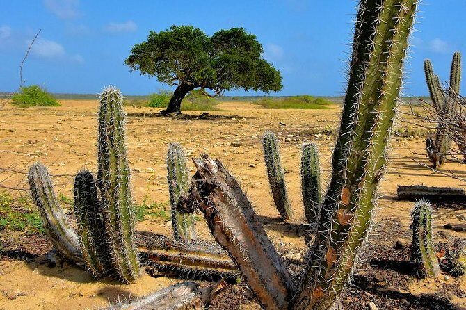 North Tour with Local Guide - FAQ