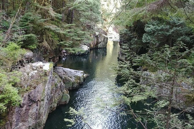 North Vancouver Discovery Private Tour - Analyzing the Value