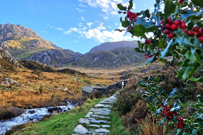 North Wales & Caernarfon Castle Full-Day Tour From Manchester - Tour Specifications