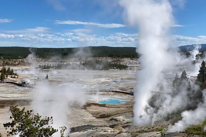 North Yellowstone Day Tour (Lamar Valley) Private Day Tour - Final Thoughts