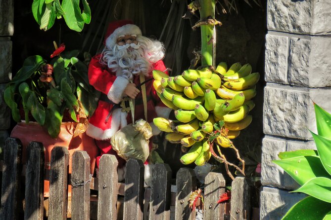 Northeast 4x4 Santana and Landscapes Day Trip - Transportation and Accessibility