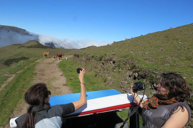 Northeast 4x4 Santana and Landscapes Day Trip - Booking Information