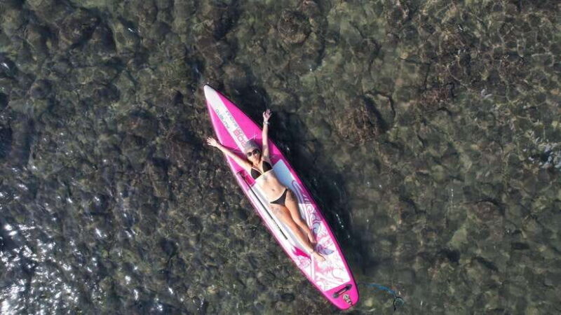 Northeast Coast day tour: SUP and Spearfishing Picnic - Practical Details: What You Need to Know