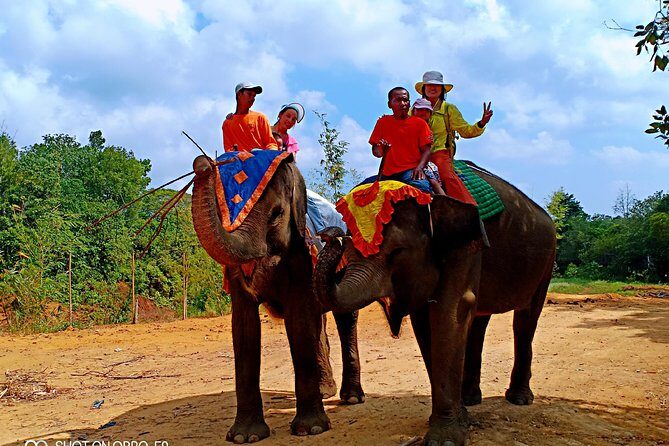 Northern Bintan Full Day Tour - Authentic Experiences and Practical Insights