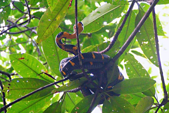 Northern Bintan Full Day Tour - Practical Details and Considerations