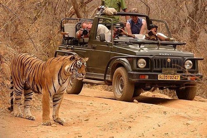 Northern India Family Holiday - FAQ