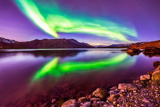 Northern Light Hunt in Tromsø. Wifi Included - Getting to the Meeting Point