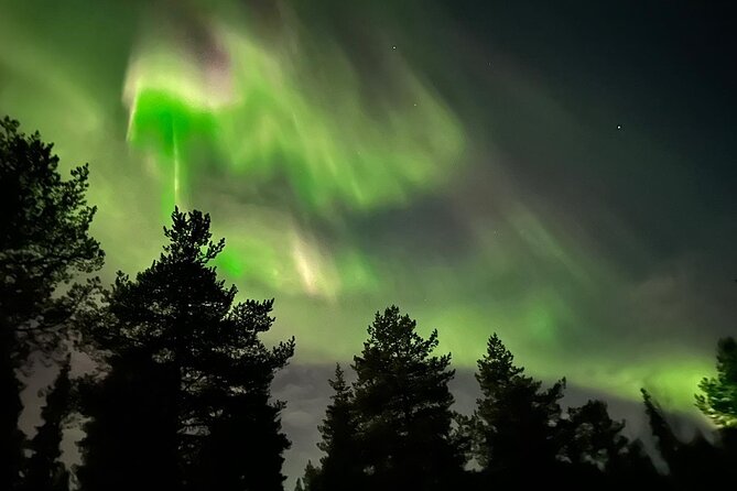 Northern Light Hunt With Minibus Review - Aurora Viewing and Weather Conditions