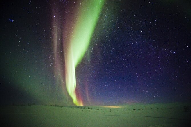 Northern Light Safari by Snowmobiles From Levi - FAQs