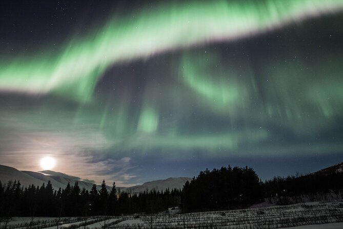 Northern Lights 4x4 Tour from Akureyri - Key Points
