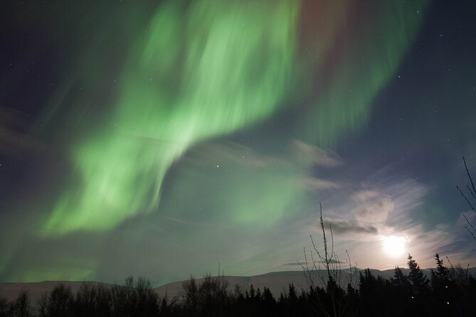 Northern Lights 4x4 Tour from Akureyri - The Sum Up