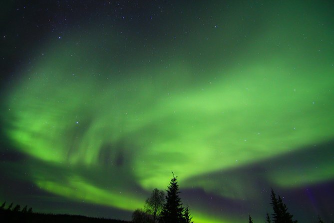 Northern Lights and Arctic Circle Trip From Fairbanks - Scenic Wilderness and Wildlife