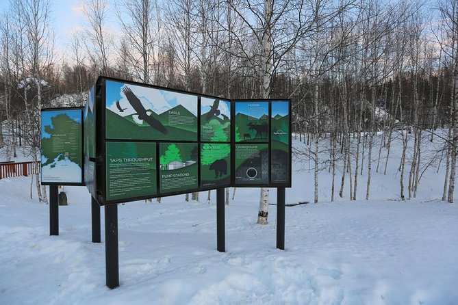 Northern Lights and Arctic Circle Trip From Fairbanks - Crossing the Arctic Circle