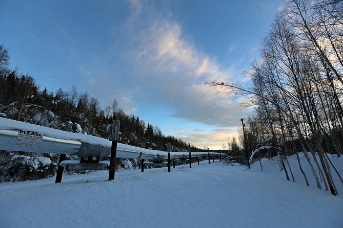 Northern Lights and Arctic Circle Trip From Fairbanks - Photography Opportunities