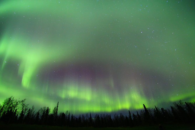 Northern Lights and Arctic Circle Trip From Fairbanks - Trip Considerations