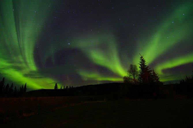 Northern Lights and Chena Hot Springs Night Tour from Fairbanks - The Northern Lights: The Main Event