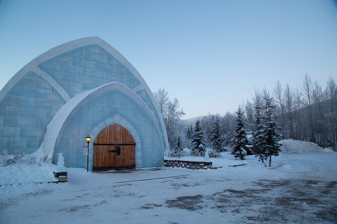 Northern Lights and Chena Hot Springs Night Tour from Fairbanks - Cost-Value Analysis