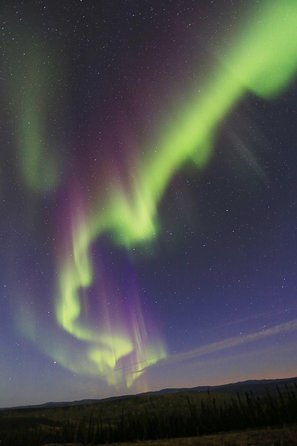 Northern Lights and Chena Hot Springs Night Tour from Fairbanks - Considerations and Tips
