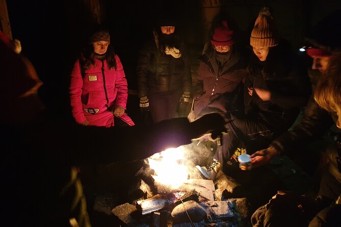 Northern Lights Aurora From Kemi With Pickup - Logistical Details