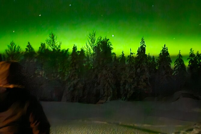 Northern Lights Aurora From Kemi With Pickup - Accessibility and Participation